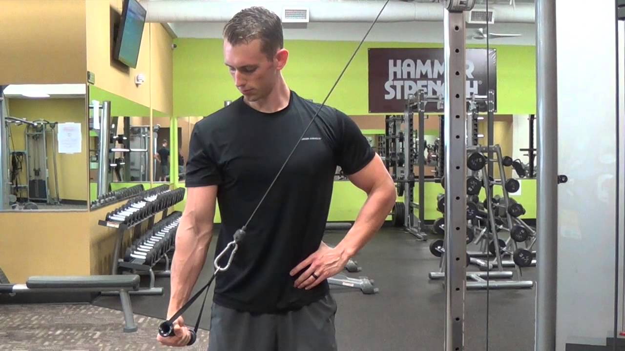 8 BEST Tricep Exercises | Gravity Transformation