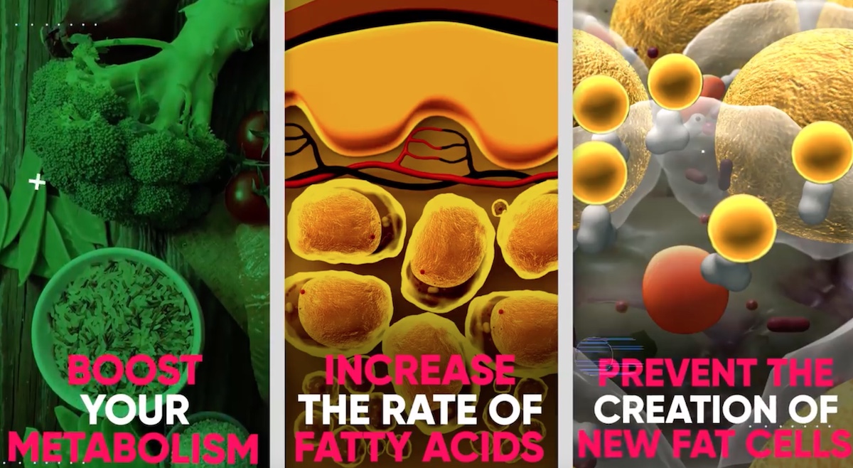 The effects of steroids on fat loss