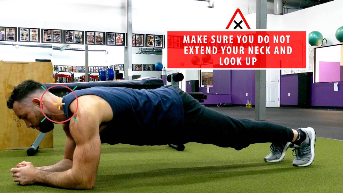 7 BEST Exercises for a Stronger Lower Back - Gravity Transformation