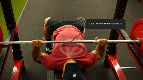 Join 30,000+ people that have changed their bodies and lives with my ...