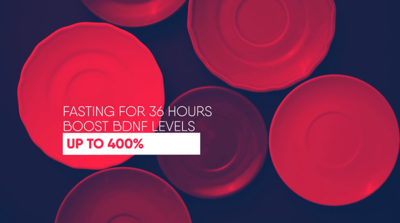 What Happens to your Body While Fasting