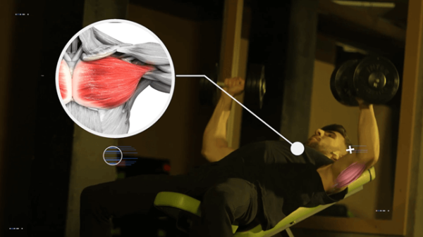 9 Tips That'll Help Your Chest Grow - Gravity Transformation