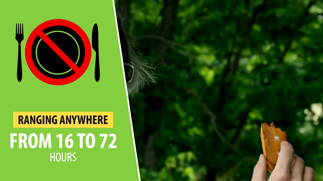 What Happens When You Stop Eating - Gravity Transformation