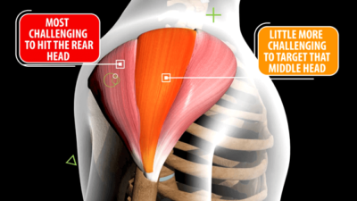 The ONLY Shoulder Exercises You Need - Gravity Transformation